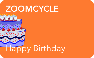 Zoom Cycle